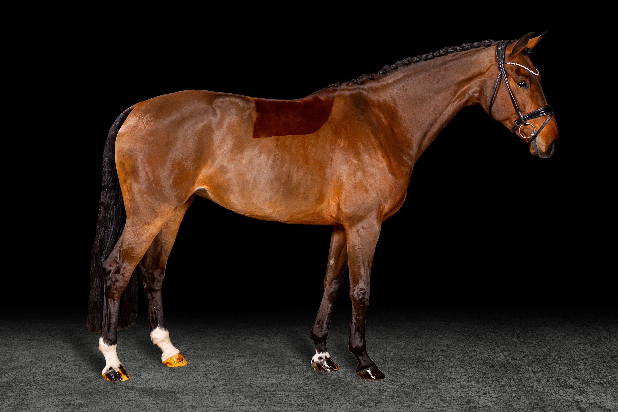 Valina | Aloga Auction