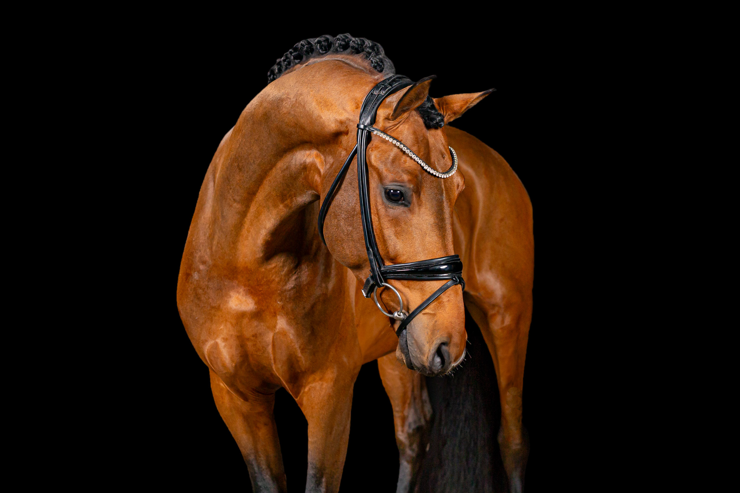 Vino Frizzante | Aloga Auction